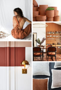 And the Winners of the Colour of the Year for 2019 are… COTY 2019